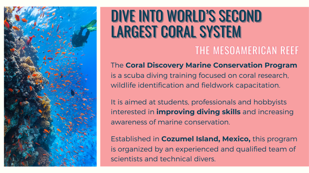 Coral Discovery Marine Conservation Program - Cozumel Island